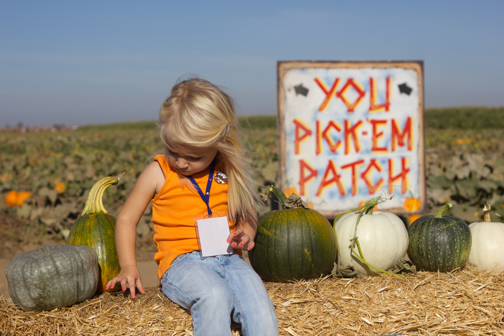 a field trip to the pumpkin patch - Kimberly Michelle
